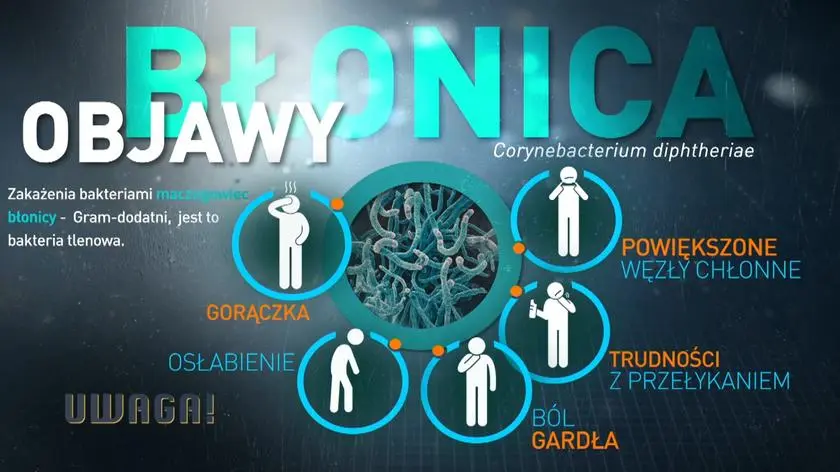 Czym jest błonica? - UWAGA!