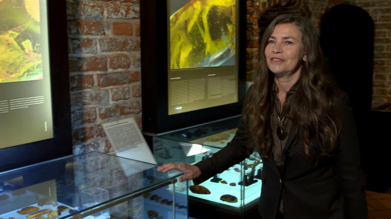 "Każdy bursztyn jest unikalny". Nietypowa pasja Lidii Popiel - UWAGA!